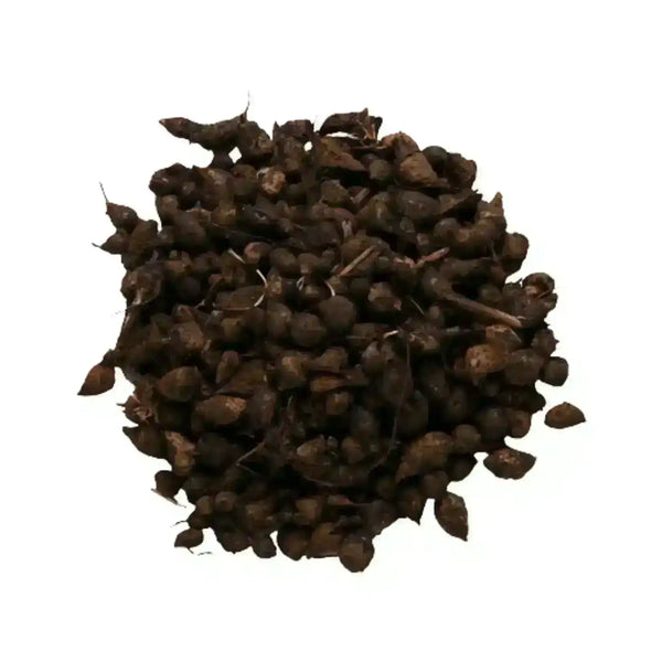 Natural Nut Grass Herbal Remedy for Wellness & Skin Care – MELevant